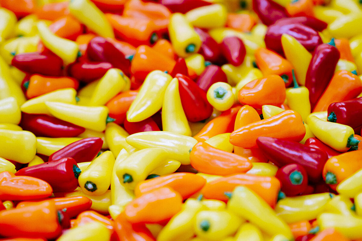 Sweetbite - Kwekerij Roodpunt